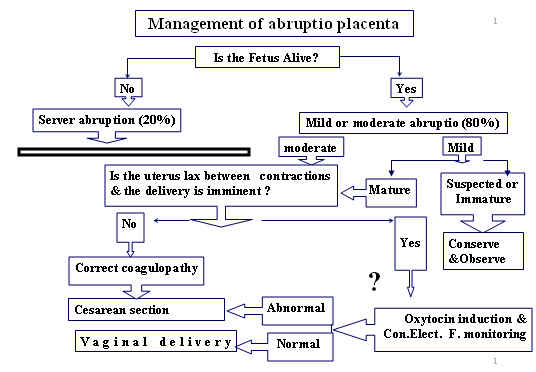 ACCORDING TO THE TYPE OF BLEEDING